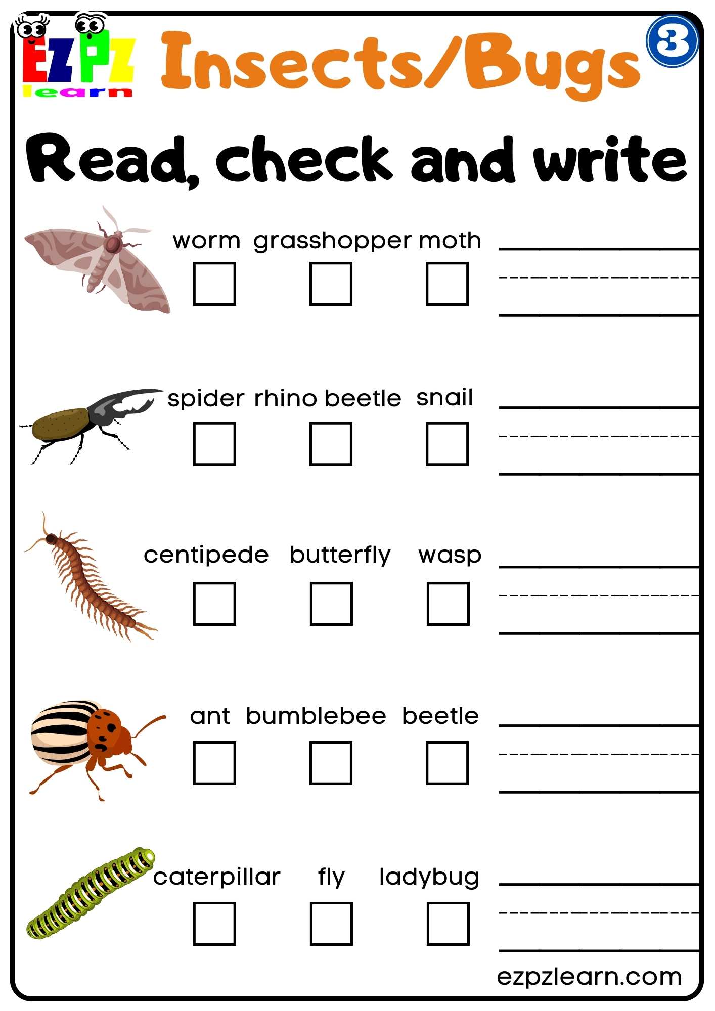 Group 3 Bugs and Insects Read Check and Write Worksheet PDF Download For Homeschool and ESL ...